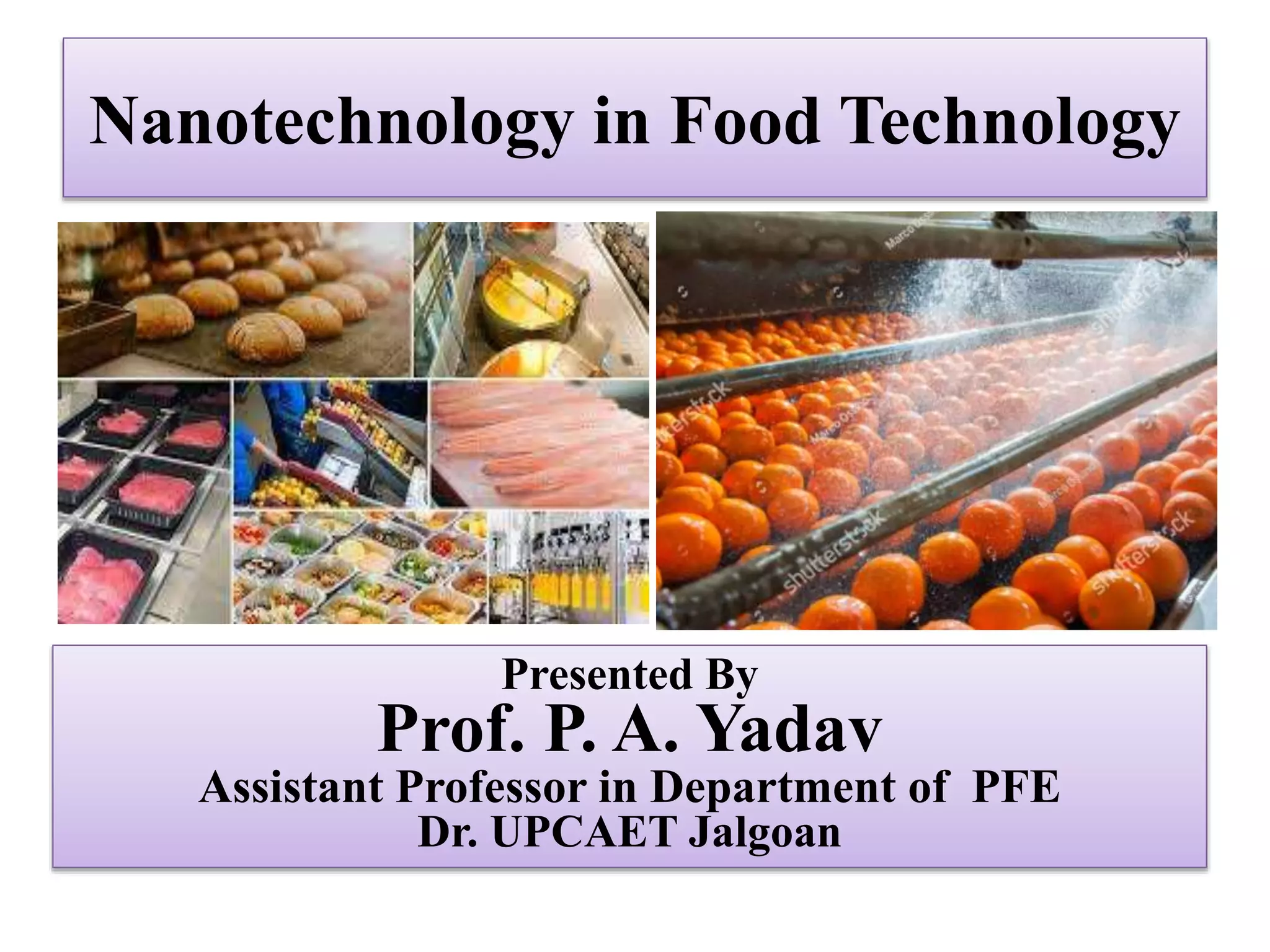 Nanotechnology in Food Industries | PPTX