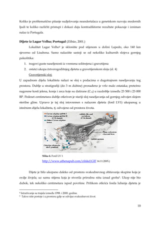 Seminar neandertalci moderni ljudi | PDF