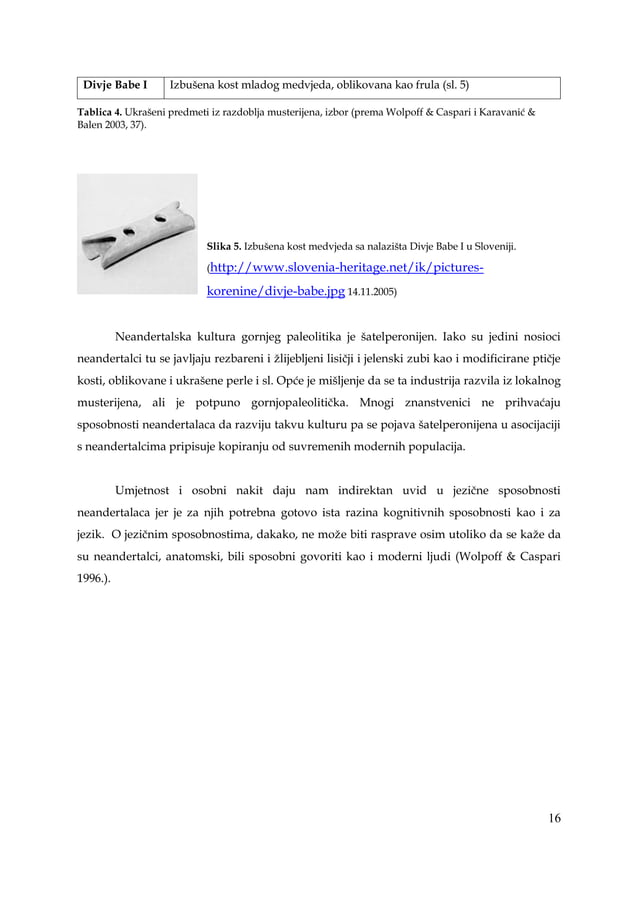 Seminar neandertalci moderni ljudi | PDF