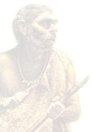 Seminar neandertalci moderni ljudi | PDF