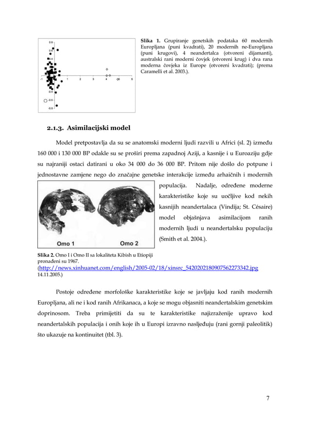Seminar neandertalci moderni ljudi | PDF