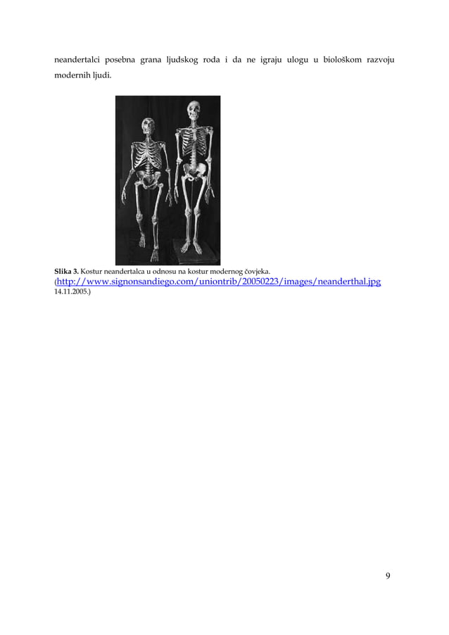 Seminar neandertalci moderni ljudi | PDF