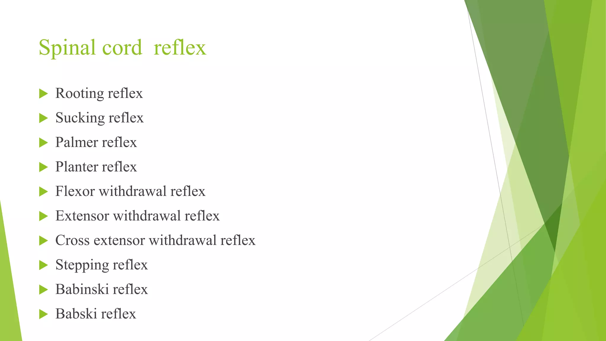 Primitive Reflexes.pptx