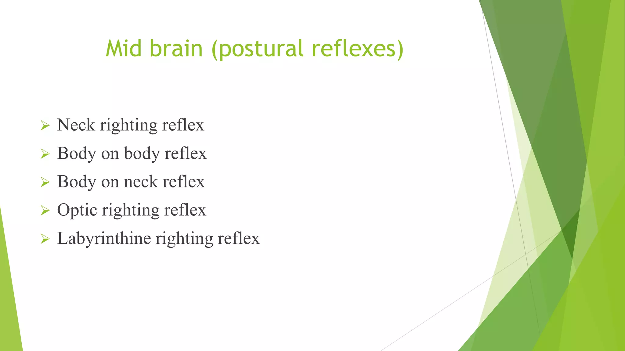 Primitive Reflexes.pptx