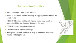 Primitive Reflexes.pptx