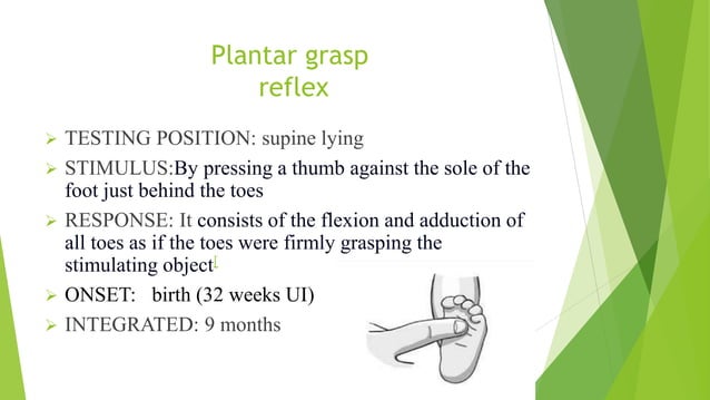 Primitive Reflexes.pptx | First Aid | Injuries