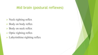 Primitive Reflexes.pptx