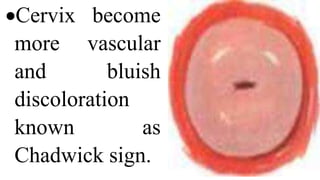 Maternal adaptation in pregnancy | PPTX