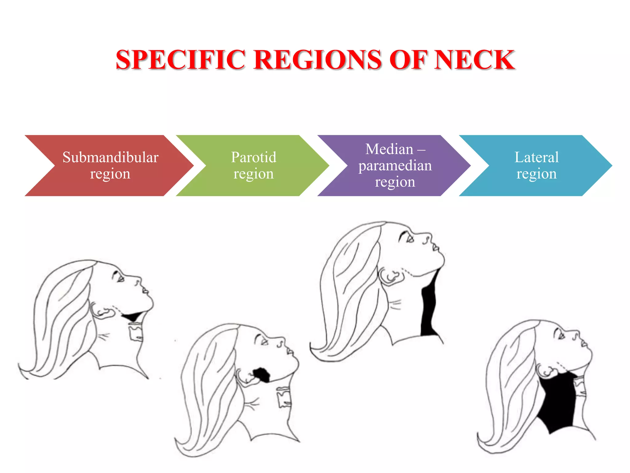 Differential Diagnosis of Lymphadenopathy | PPTX