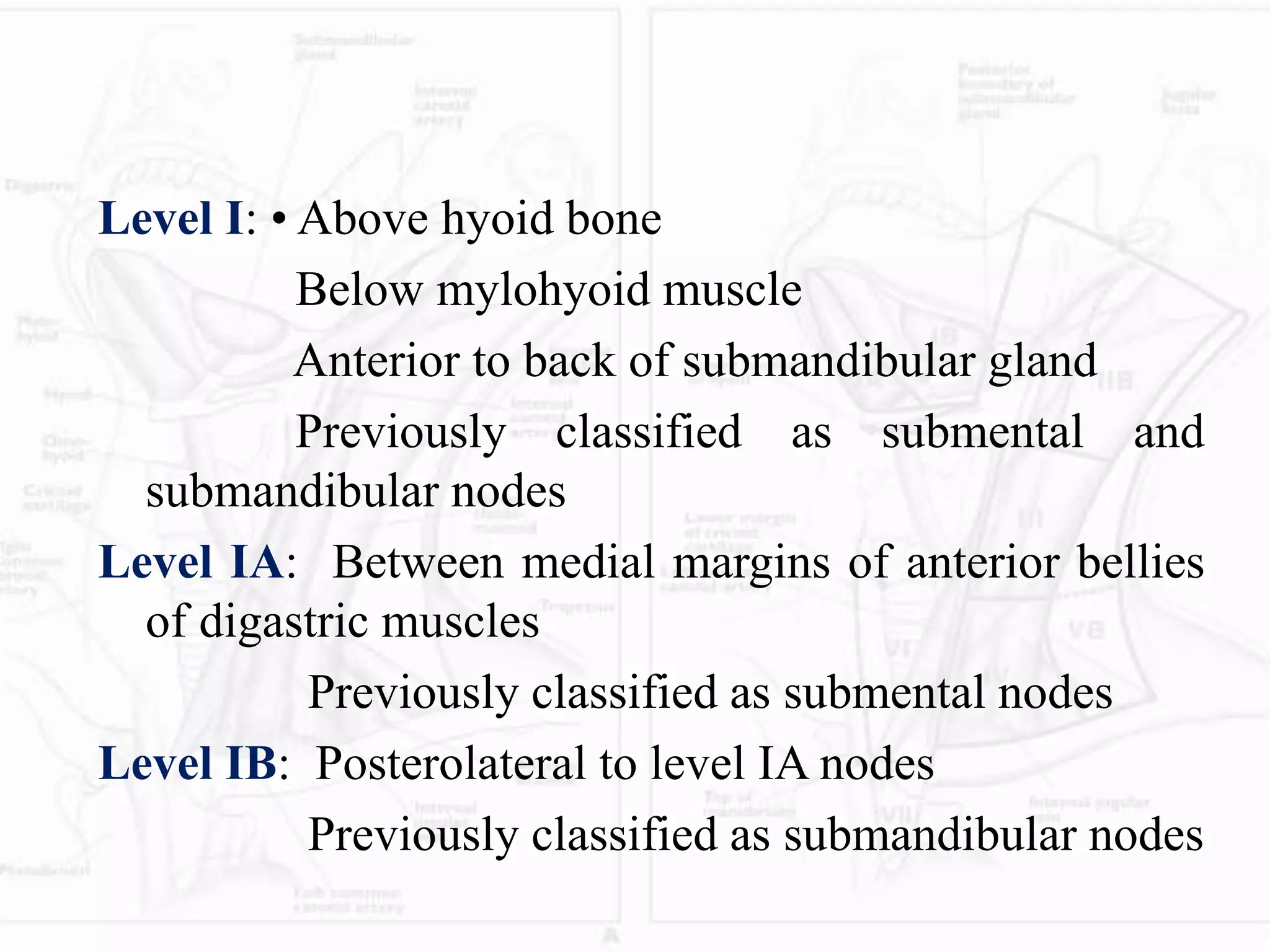 Differential Diagnosis of Lymphadenopathy | PPTX