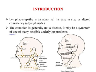 Differential Diagnosis of Lymphadenopathy | PPT