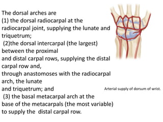 scaphoid and lunate fractures | PPTX