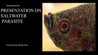 Presentation on marine fish parasitic diseases | PPTX