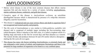 Presentation on marine fish parasitic diseases | PPTX