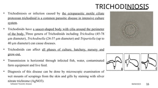 Presentation on marine fish parasitic diseases | PPTX