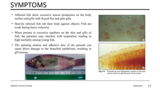 Presentation on marine fish parasitic diseases | PPTX