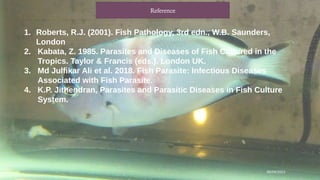 Presentation on marine fish parasitic diseases | PPTX