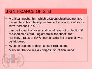 PATHOPHYSIOLOGICAL BASIS OF ADJUSTMENT OF GLOMERULOTUBULAR BALANCE IN ...