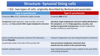 exploring the synovium- in health and RA | PPT