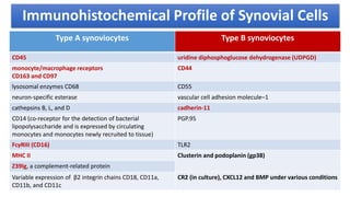 exploring the synovium- in health and RA | PPTX