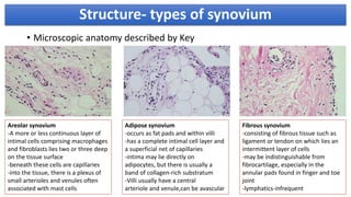 exploring the synovium- in health and RA | PPTX