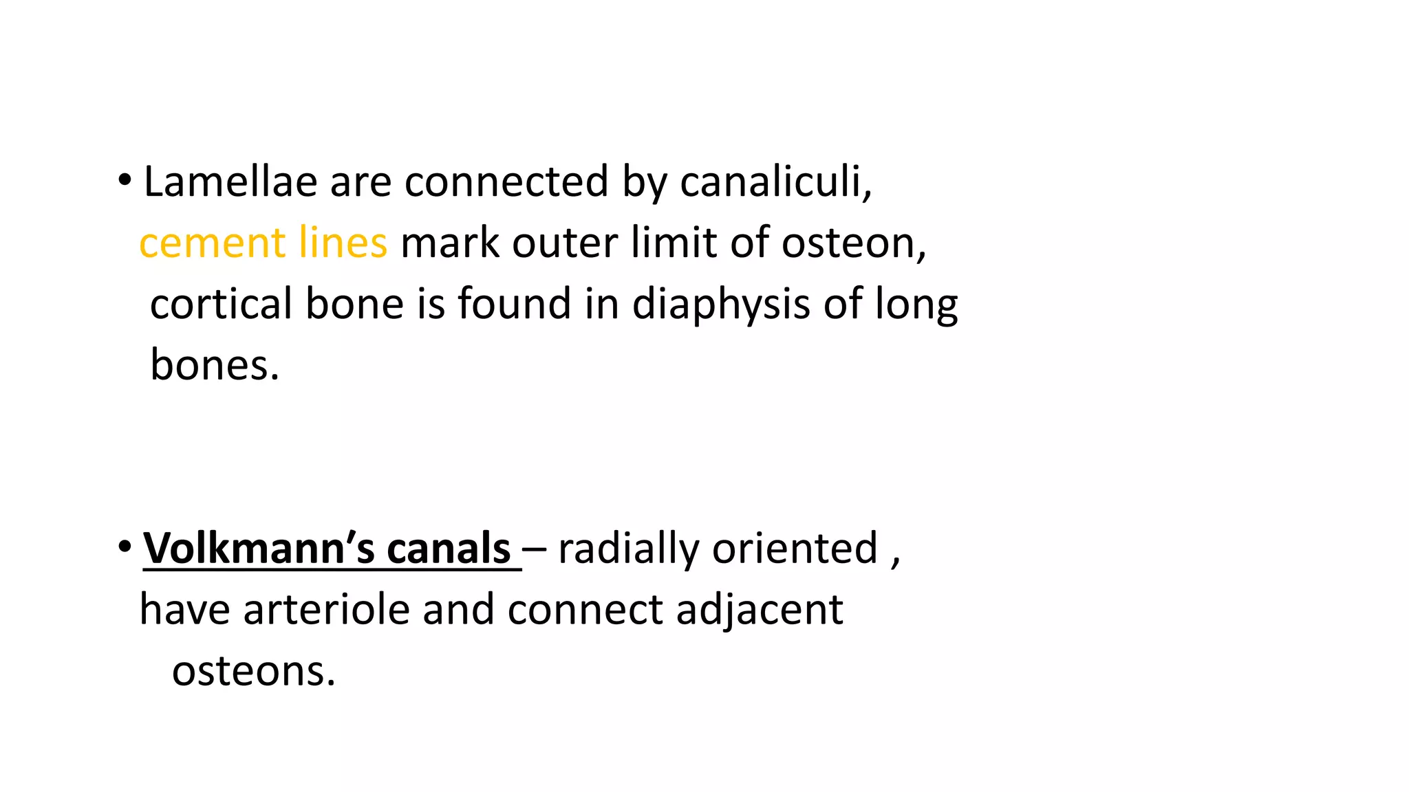 anatomy and histology of bone | PPTX