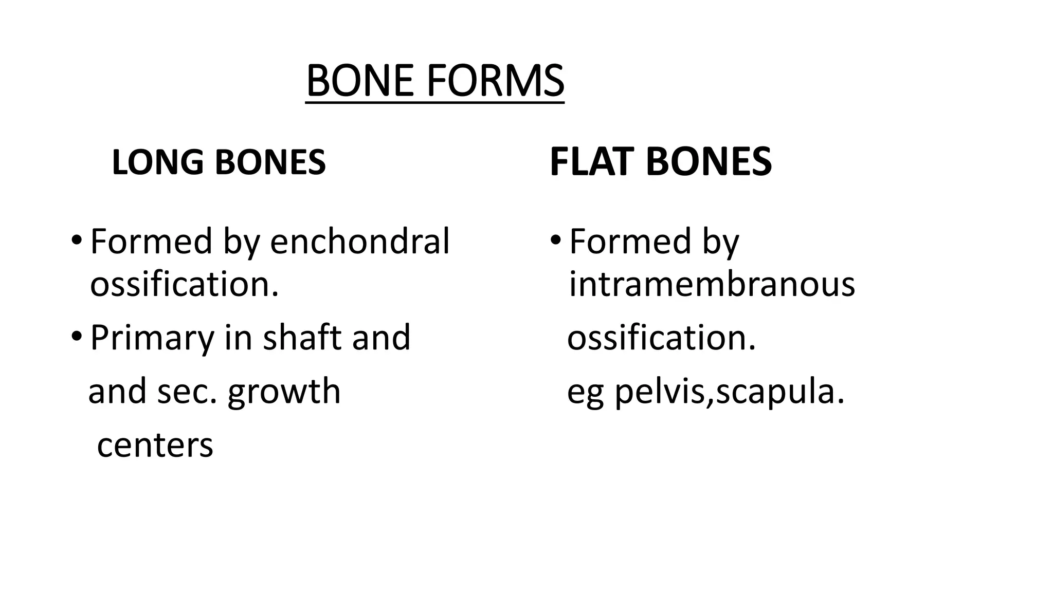 anatomy and histology of bone | PPTX