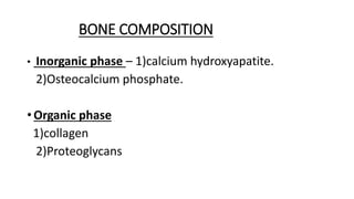 anatomy and histology of bone | PPTX