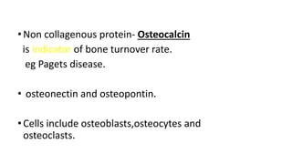 anatomy and histology of bone | PPTX