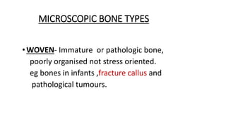 anatomy and histology of bone | PPTX