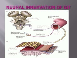 Seminar on anatomy and physiology of git | PPT