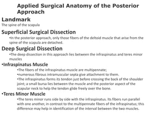 Seminar on applied anatomy and surgical approaches to shoulder | PPTX