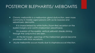 SEMINAR ON BLEPHARITIS/:MEIBOMITIS.pptx doc | PPTX