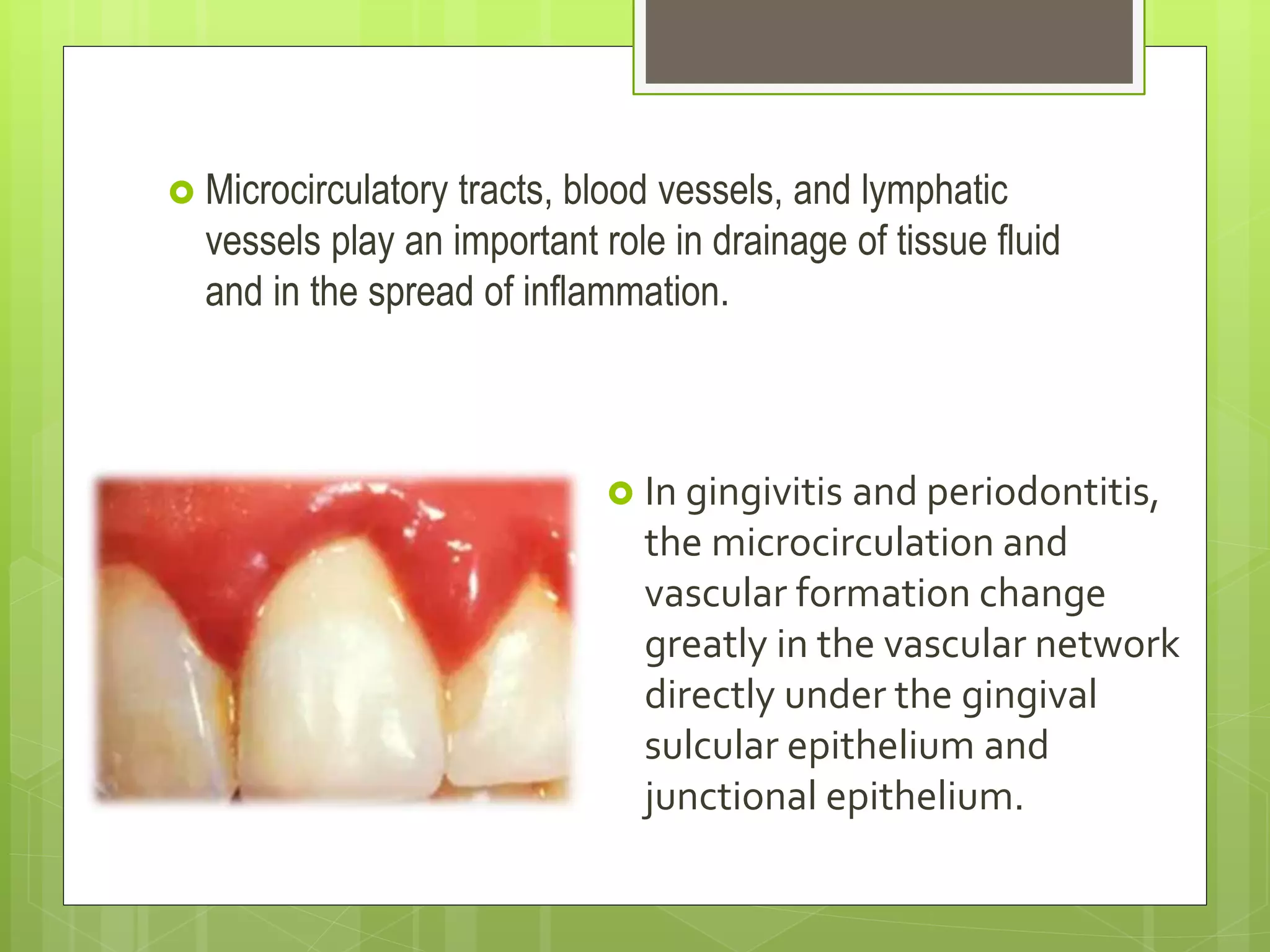 Blood supply,nerve supply and lymphatic drainage of the periodontium ...