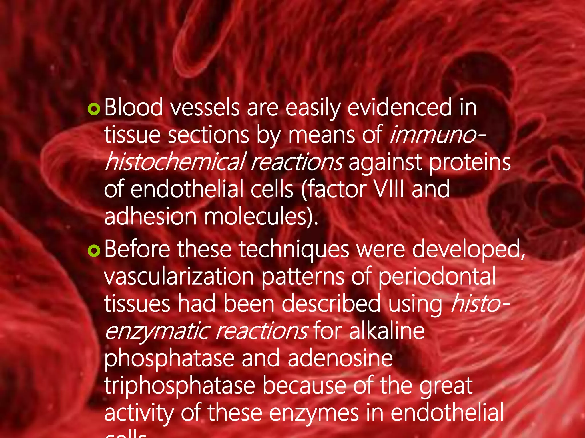 Blood supply,nerve supply and lymphatic drainage of the periodontium ...