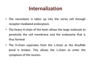 BOTOX injection and Rehabilitation after BOTOX | PPT