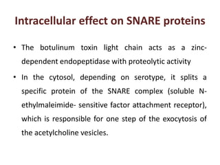 BOTOX injection and Rehabilitation after BOTOX | PPT