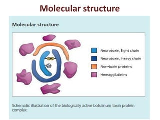BOTOX injection and Rehabilitation after BOTOX | PPT