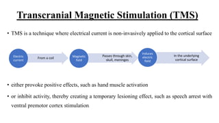 Seminar on Brain Mapping techniques.pptx