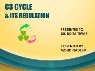 Seminar on C3 plants | PPT