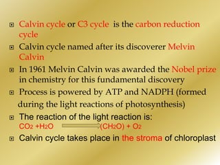 Seminar on C3 plants | PPT