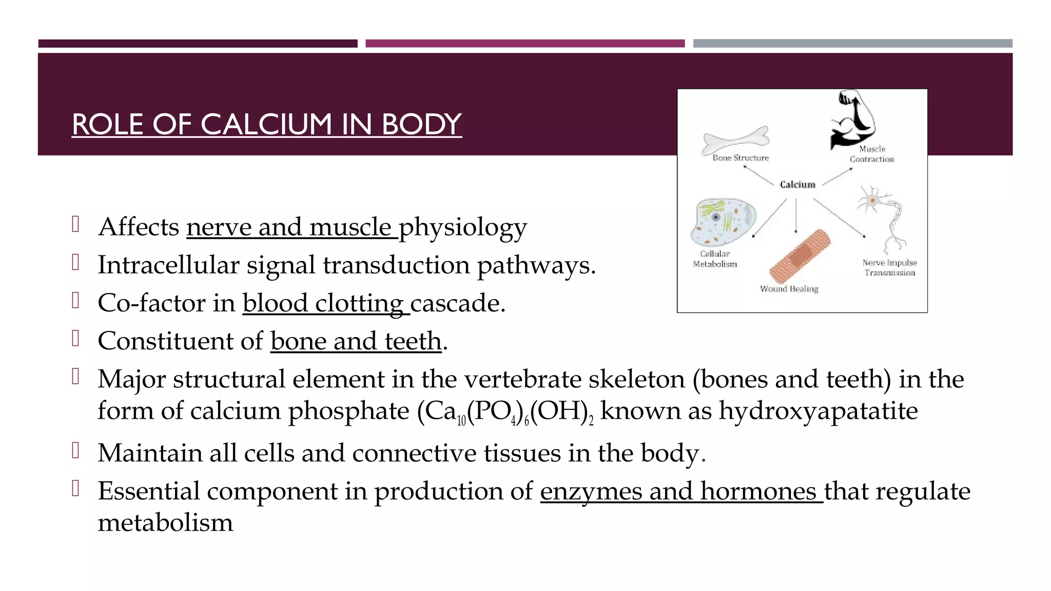 Calcium and phosphate metabolism | PPT