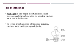 Calcium and phosphate metabolism | PPT