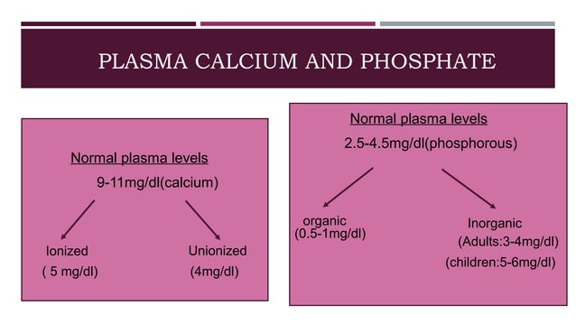 Calcium and phosphate metabolism | PPT | Bone and Joint Conditions ...