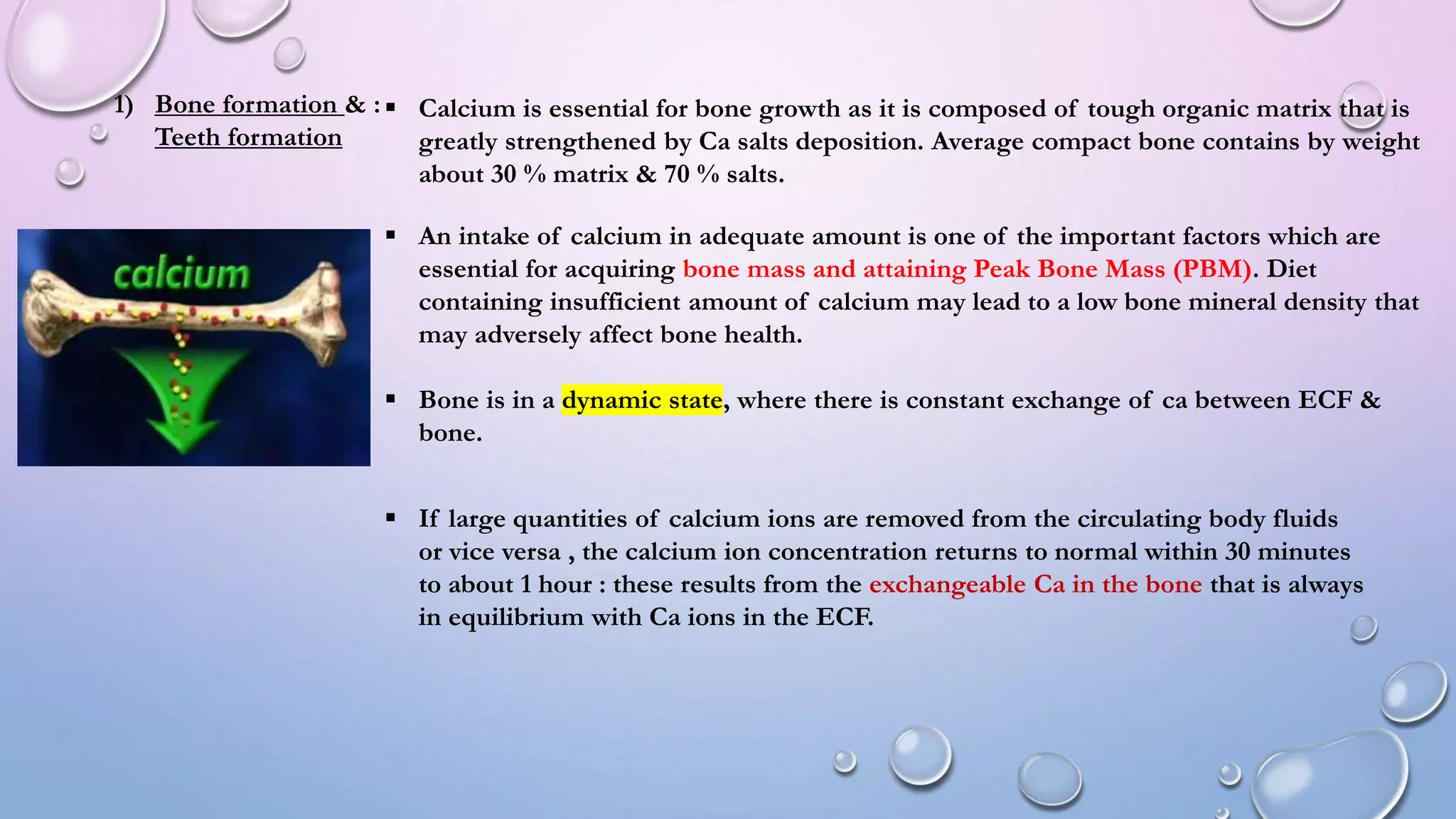 Seminar on Calcium metabolism | PPTX