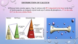 Seminar on Calcium metabolism | PPTX