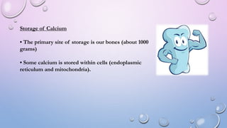 Seminar on Calcium metabolism | PPTX