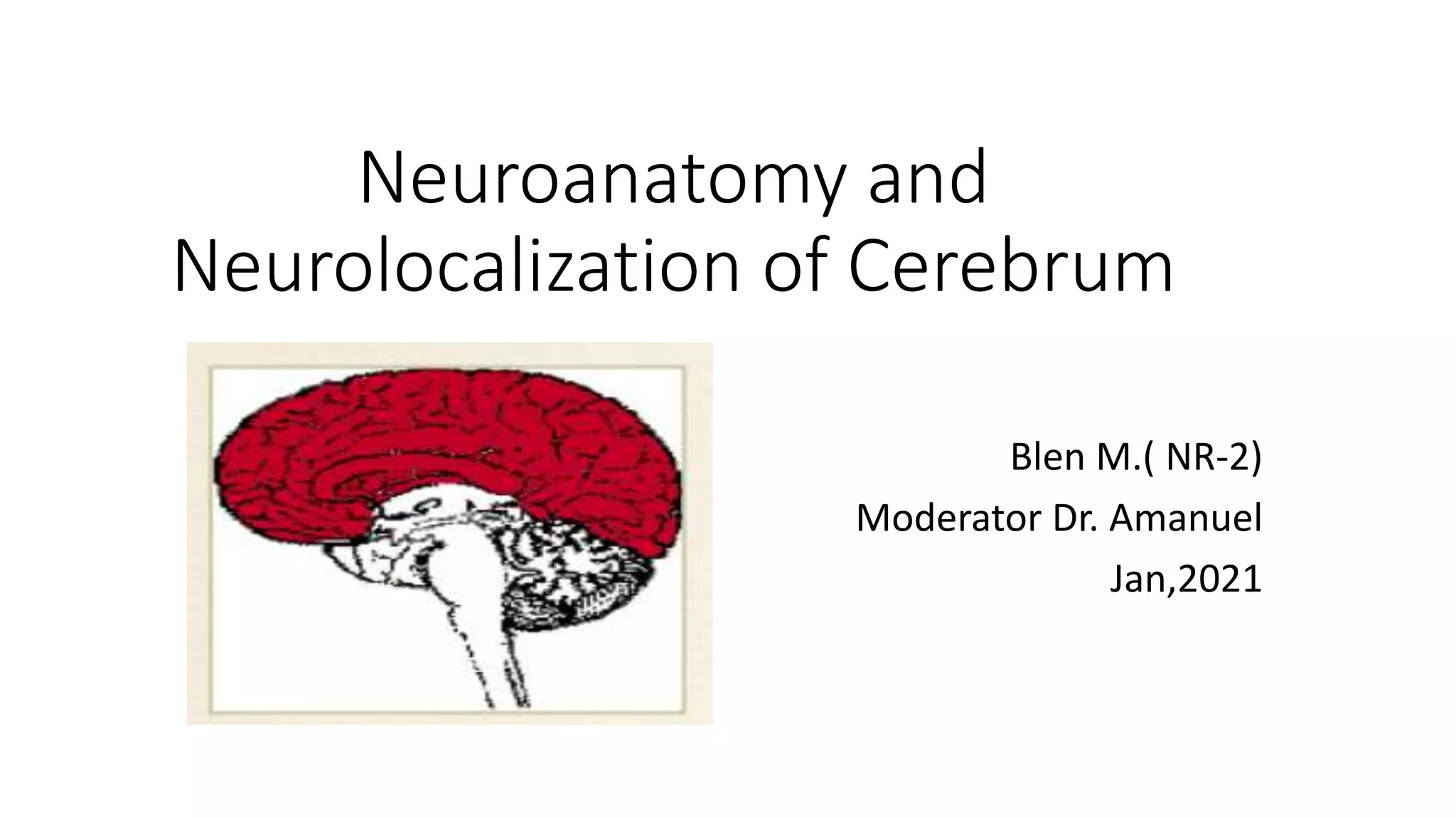 Seminar Cerebral neurolocalization | PPTX