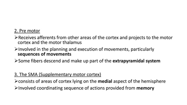Seminar Cerebral neurolocalization | PPTX