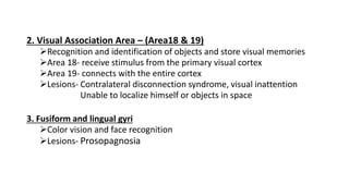 Seminar Cerebral neurolocalization | PPTX